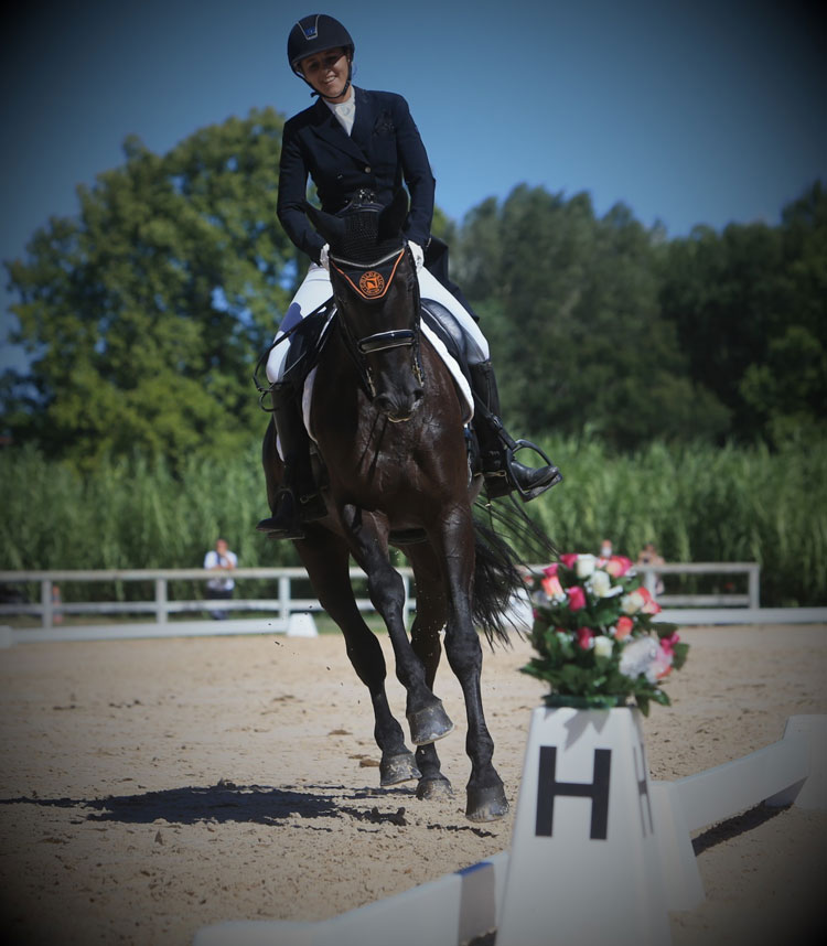 Dressage (Sud Dress Tour) – Ville de Saint-Rémy-de-Provence