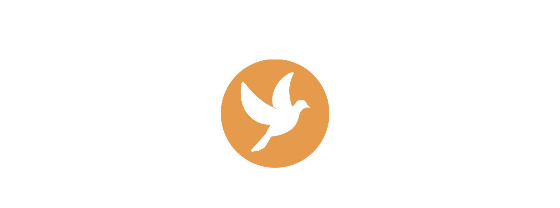La colombe au pigeonnier – Ville de Saint-Rémy-de-Provence